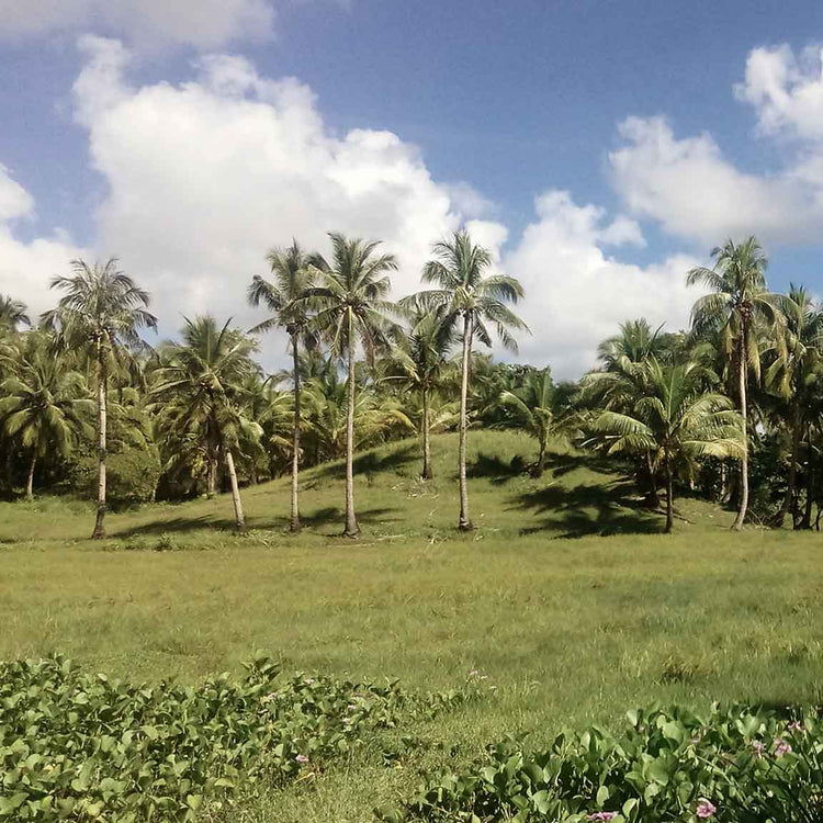 CUBO | Homebuyers | Your CUBO home journey – CUBO Modular Inc.